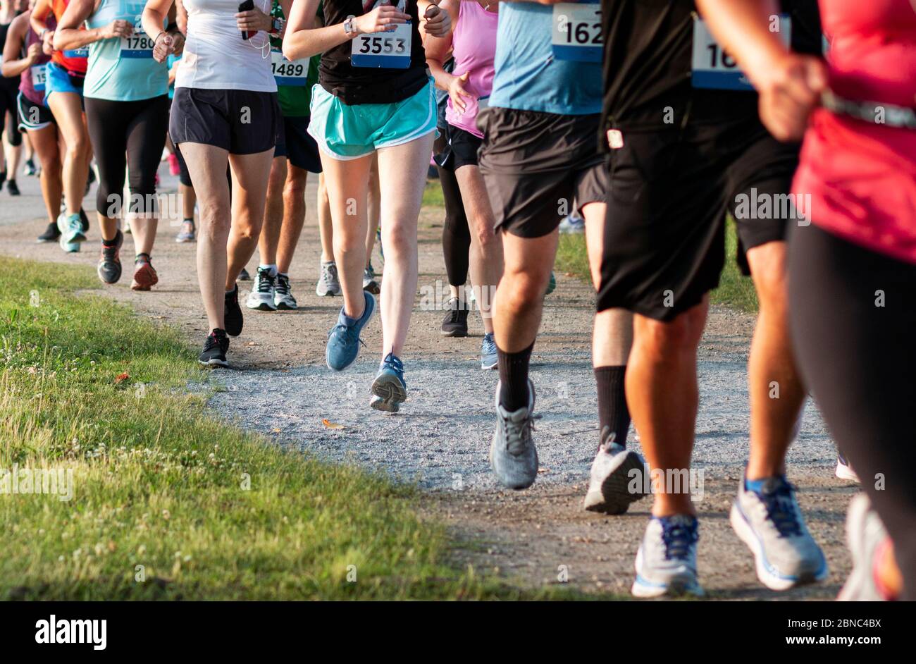 A straight line of runners racing on a dirt path in a State Park during ...