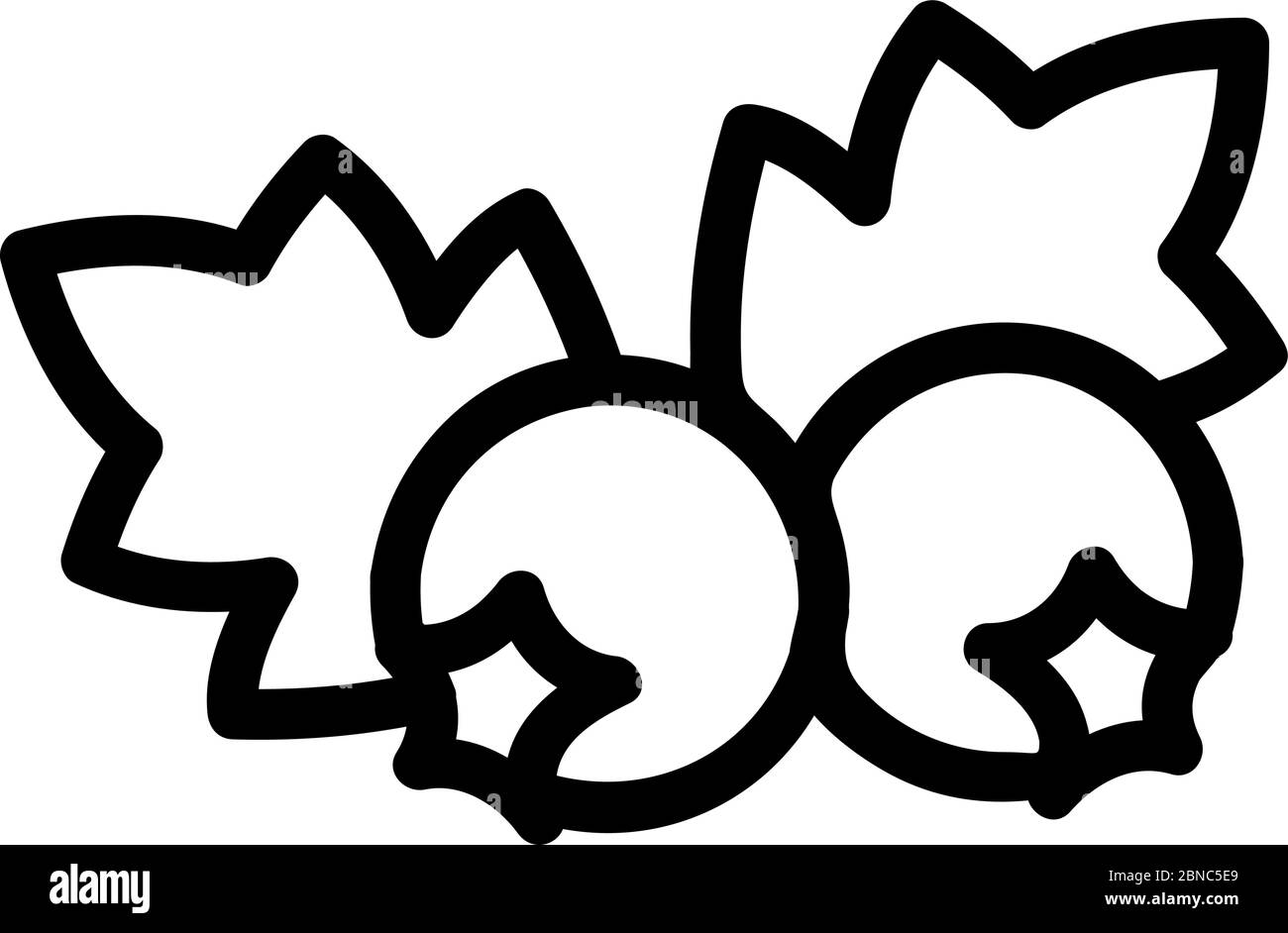 organic hawthorn berries icon vector outline illustration Stock Vector ...