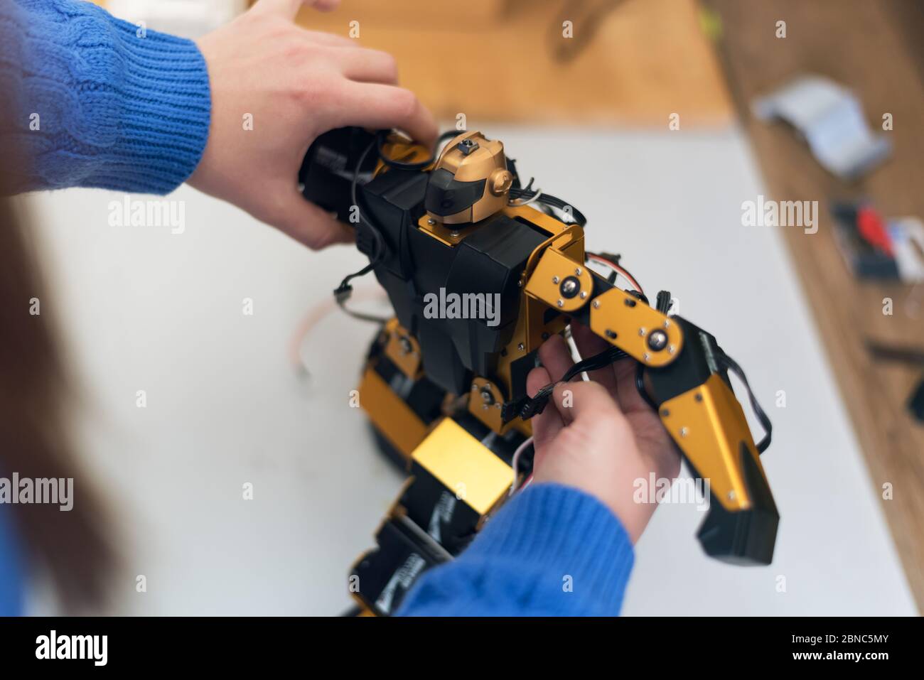 Young woman engineer working on robotics project. Scientist engineer ...