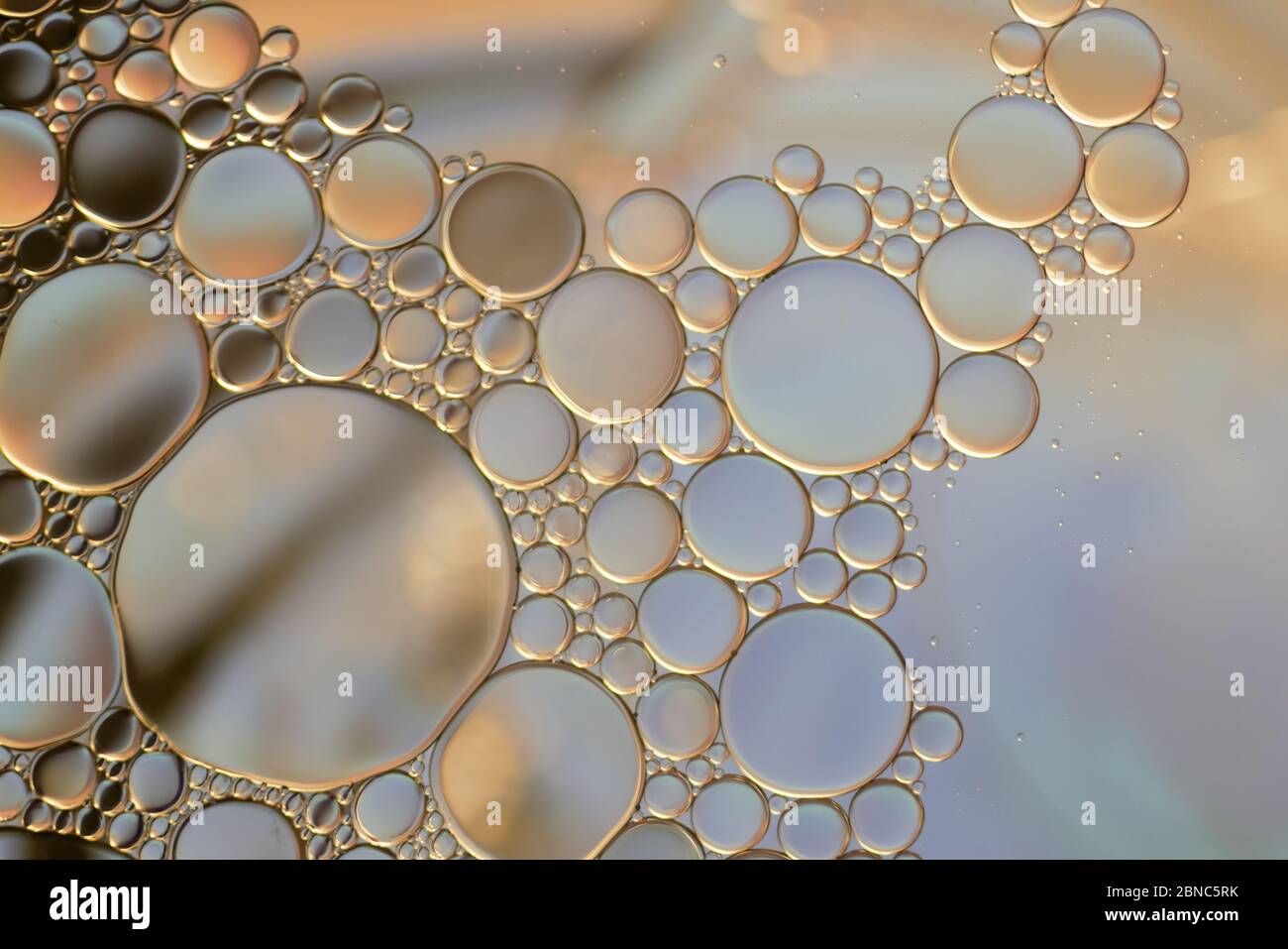 Colorful artistic of oil drop floating on the water Stock Photo - Alamy