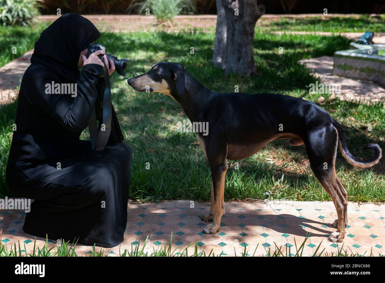 Beautiful Moroccan Arab muslim woman with traditional black hijab ...