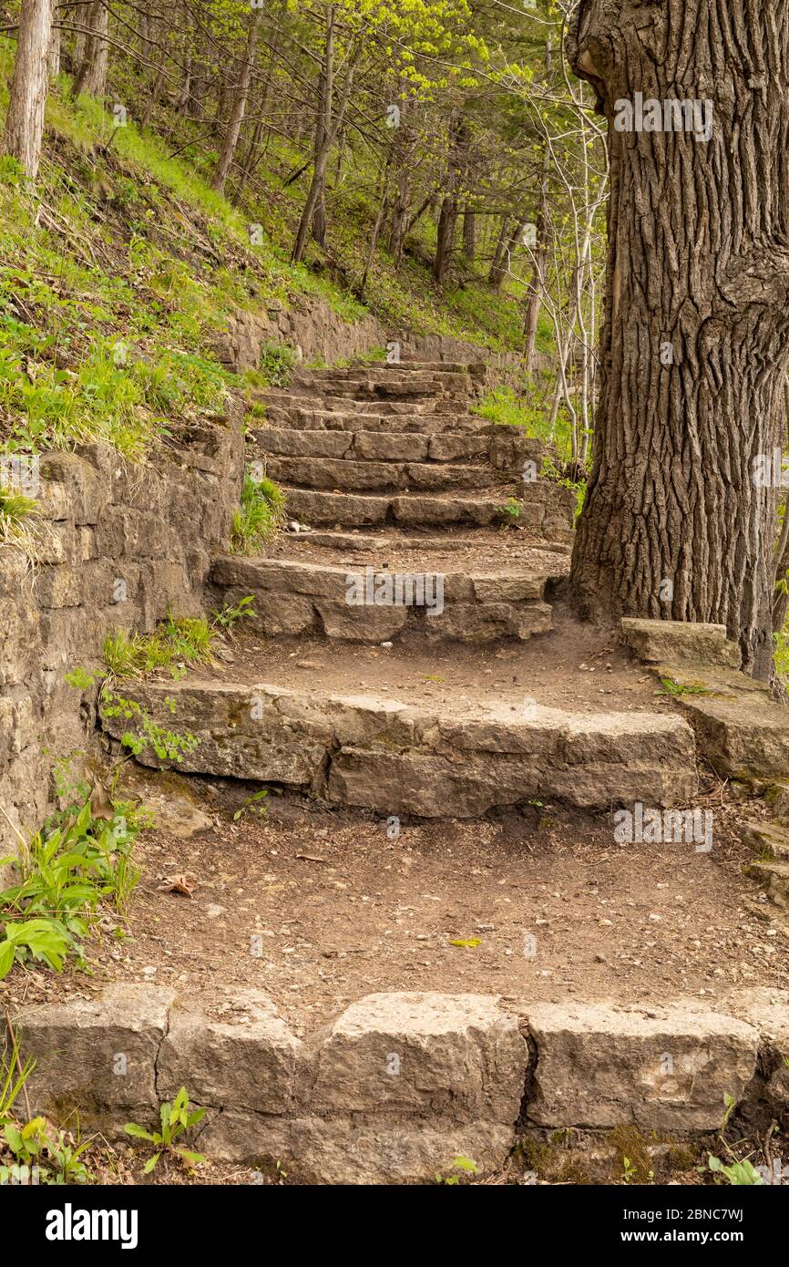 A stone step hiking trail in the woods during spring Stock Photo - Alamy