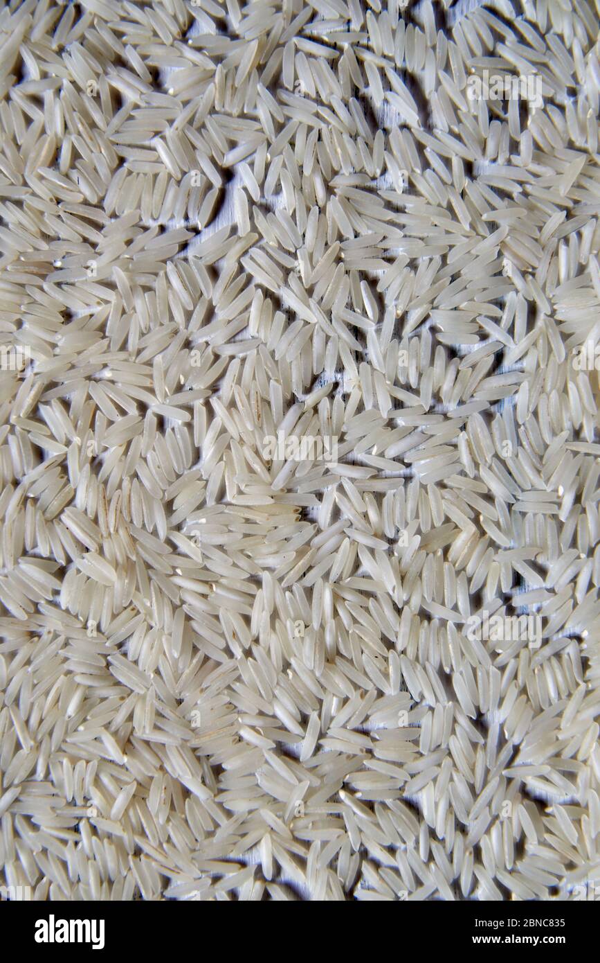 Top view of white rice seed texture background Stock Photo - Alamy