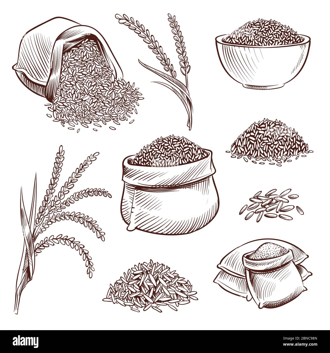 Rice harvesting Cut Out Stock Images & Pictures - Alamy