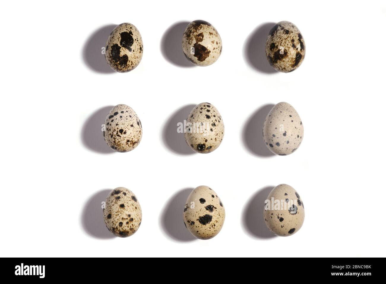 Creative quail egg layout on white background. Quail eggs pattern ...