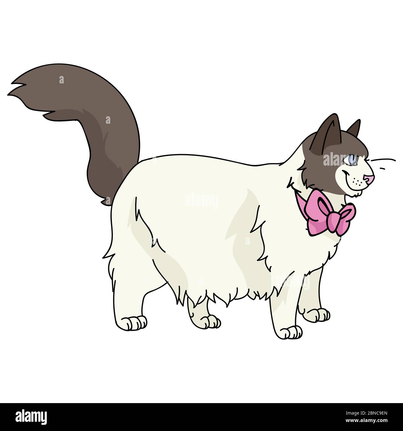 Cute cartoon ragdoll cat with pink bow vector clipart. Pedigree kitty ...
