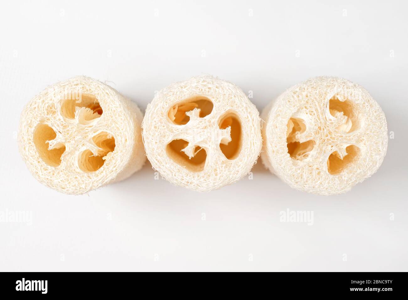 Luffa Loofah. Vegetable sponge extracted from the Luffa plant on light ...