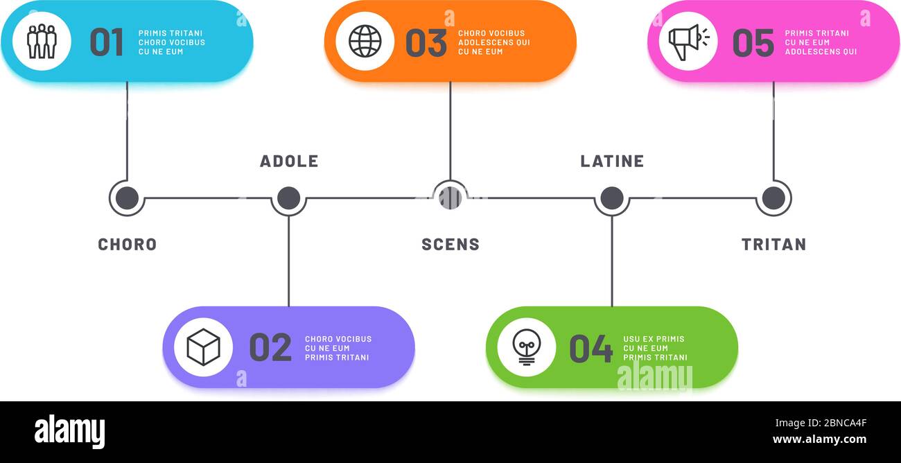 Timeline Process Infographic