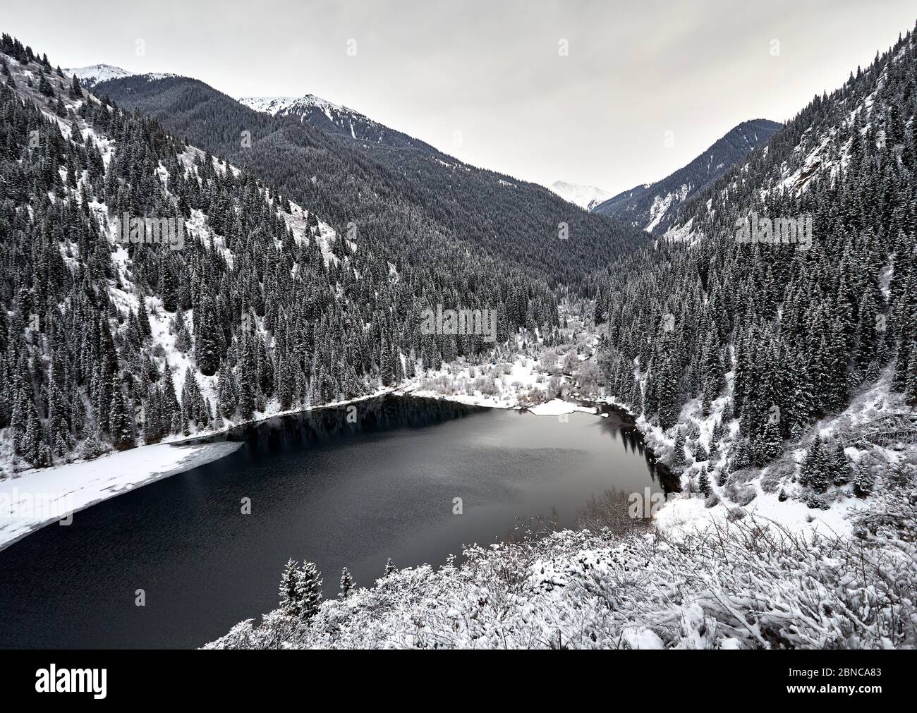 Aerial view of Kolsay mountain lake and snowy forest at winter time in ...