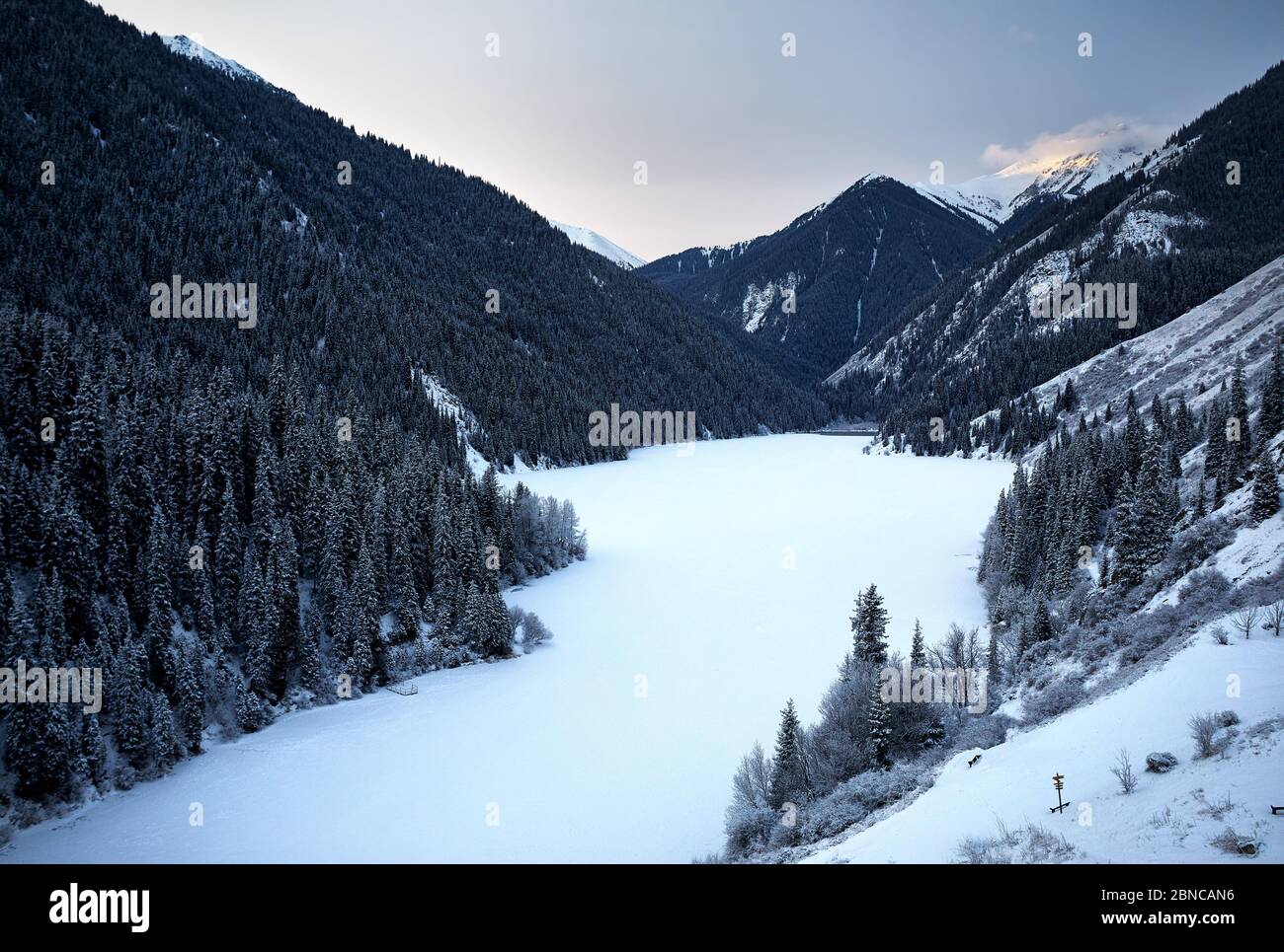 Landscape of Kolsay mountain lake and snowy forest at winter sunrise in ...