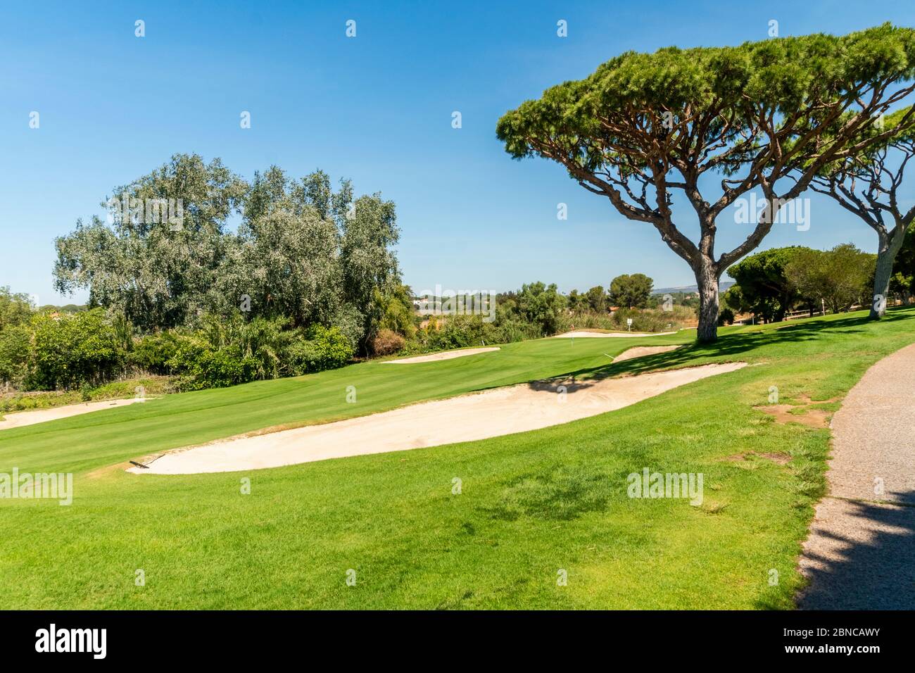 Beautiful golf course among pine trees in Algarve, south Portugal Stock ...