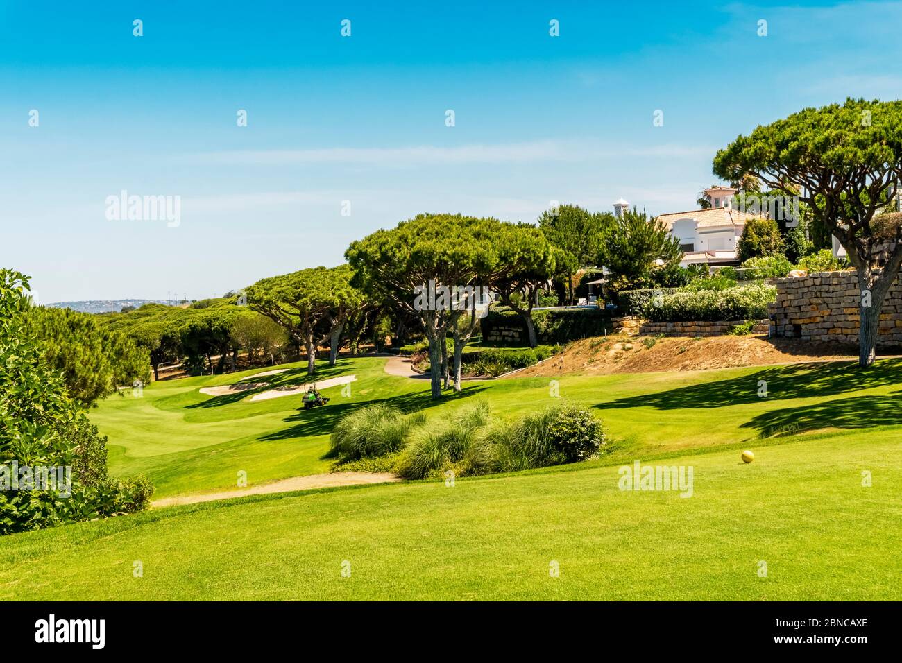 Beautiful golf course among pine trees in Algarve, south Portugal Stock ...