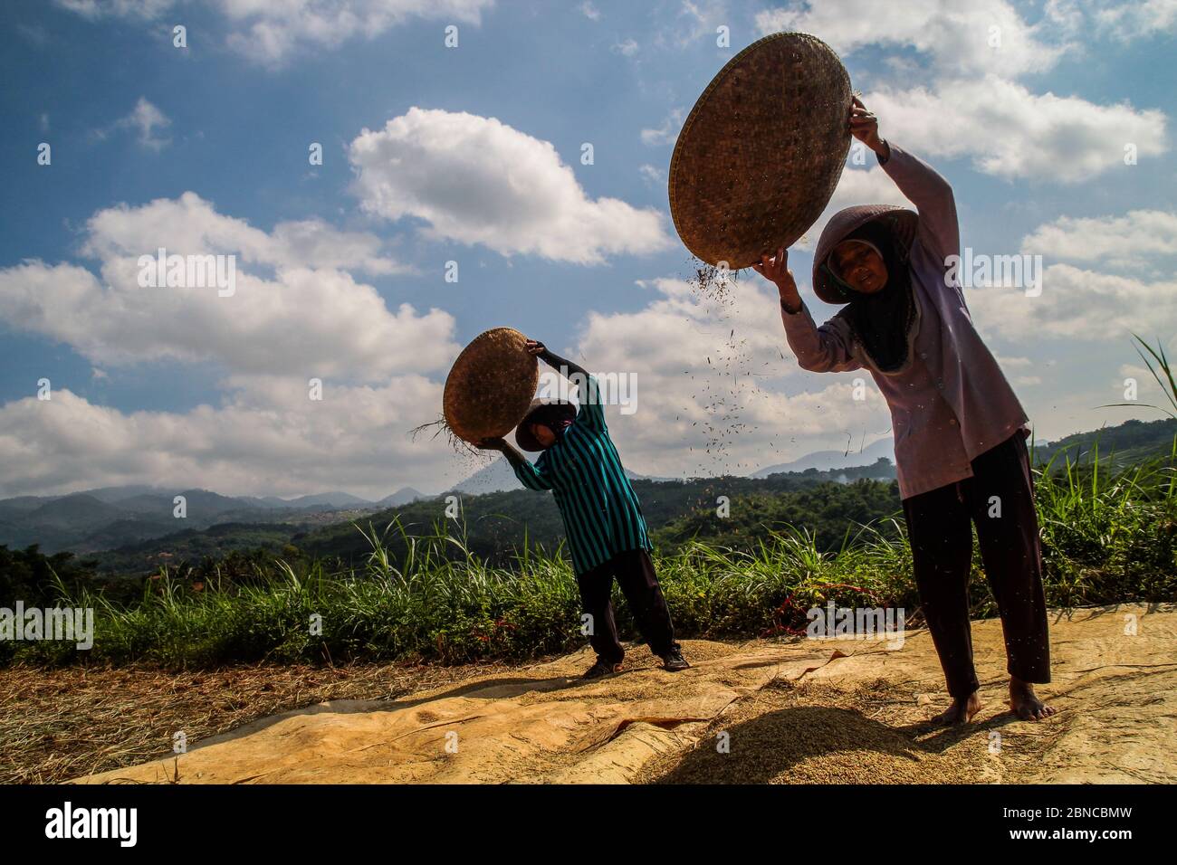 Separating seeds hi-res stock photography and images - Alamy