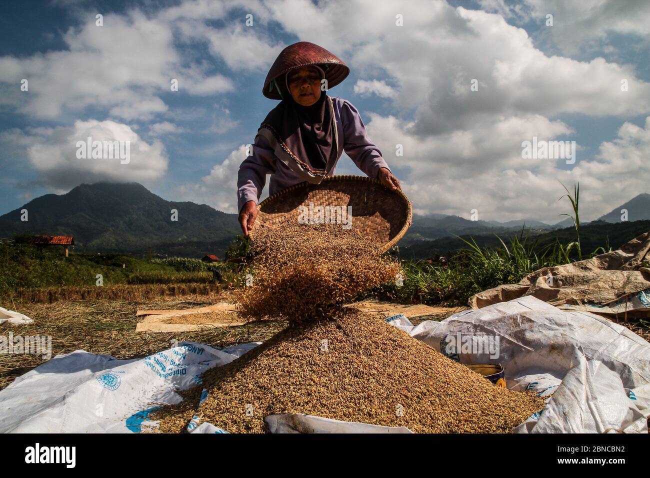 Traditional method of winnowing hi-res stock photography and images - Alamy