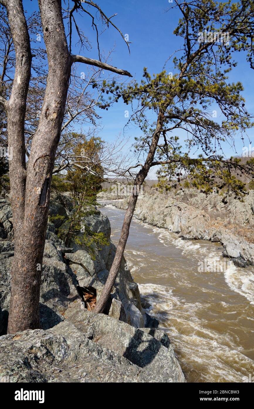 Great falls washington dc potomac river waterfall rocks hi-res stock ...