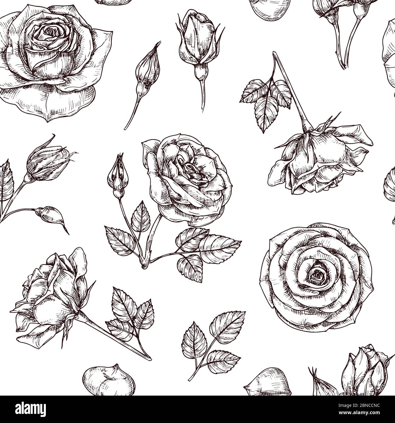 Roses seamless pattern. Hand drawn rose floral textere. Flower fabric ...