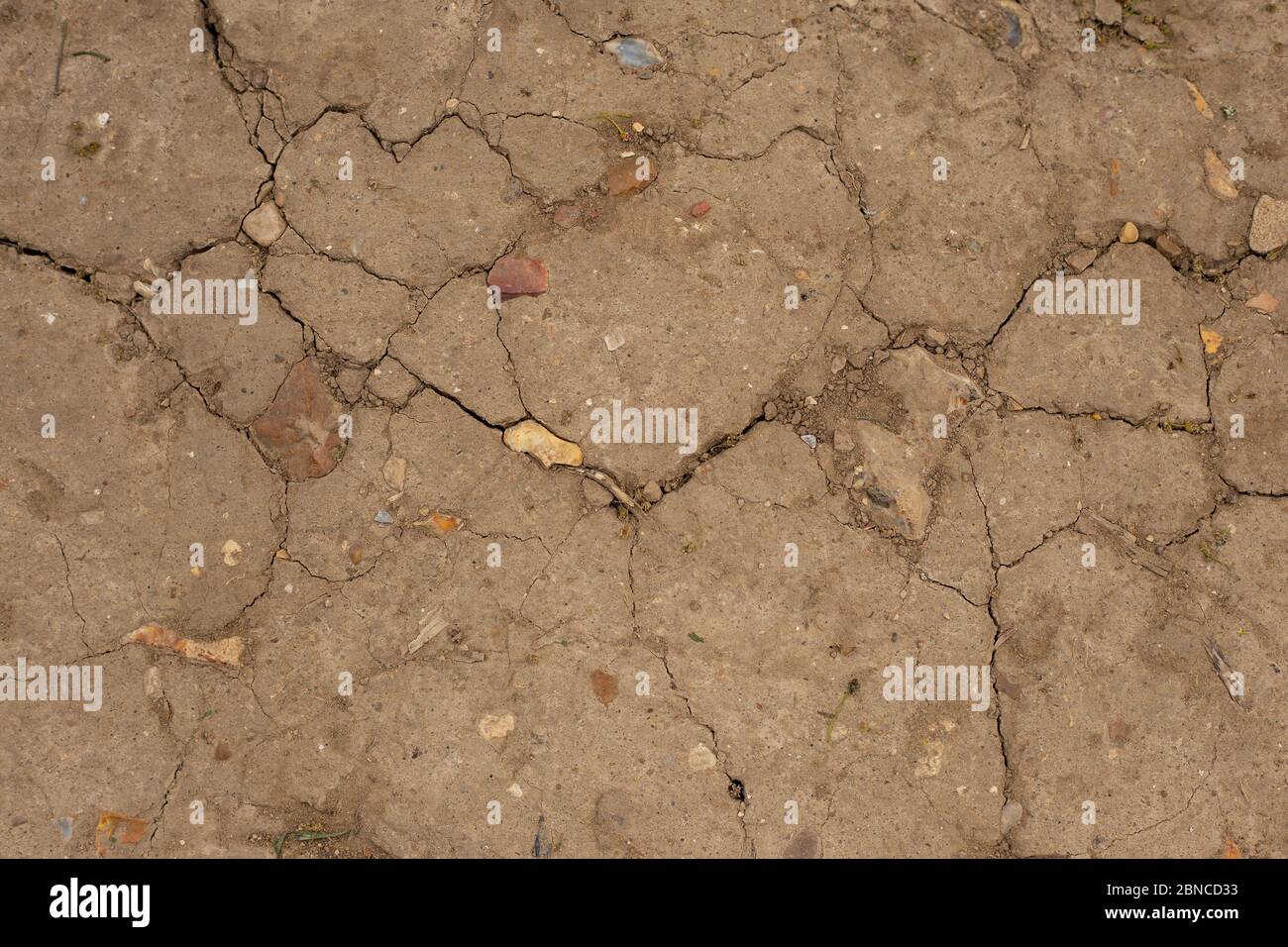 Dusty Ground Texture