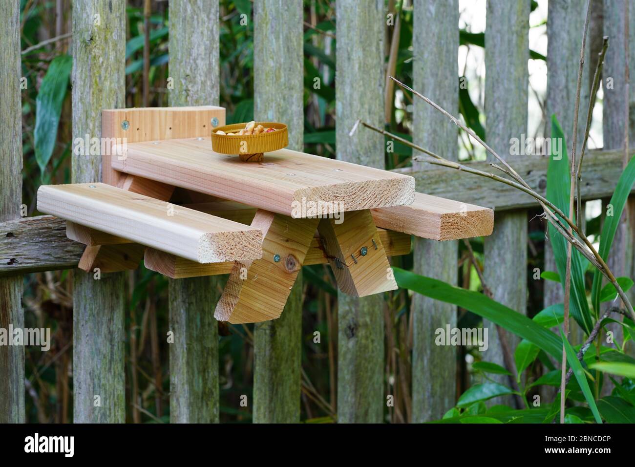 A wooden picnic table for squirrels and birds Stock Photo - Alamy
