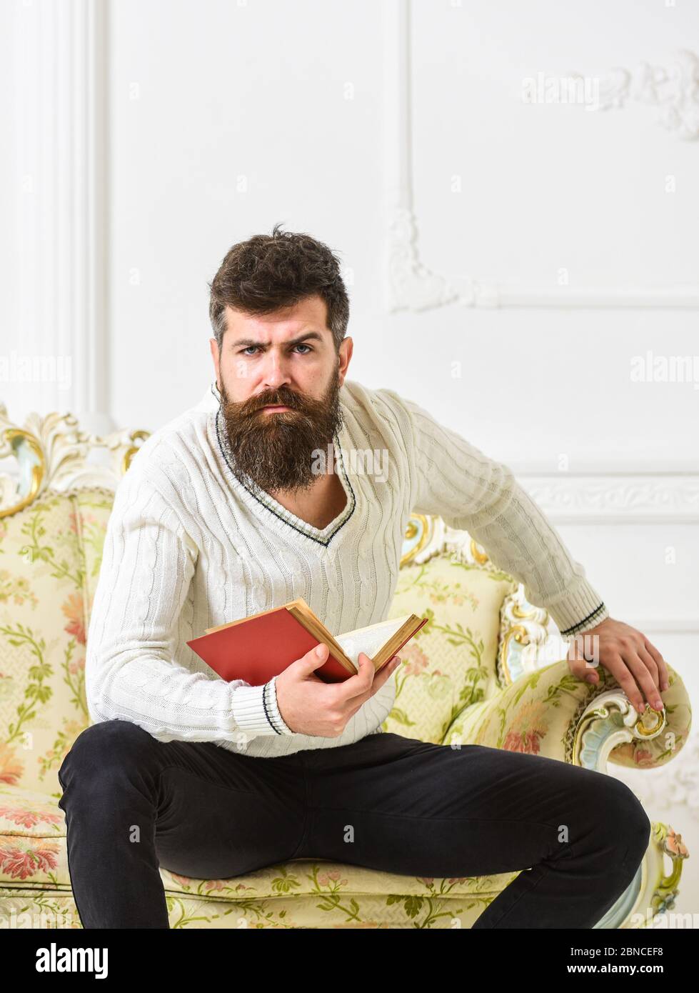 Fascinating man dressed in refined manner and reading book on ...