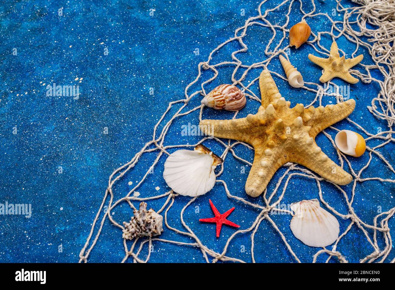 Seashells summer background. Lots of different seashells piled together ...