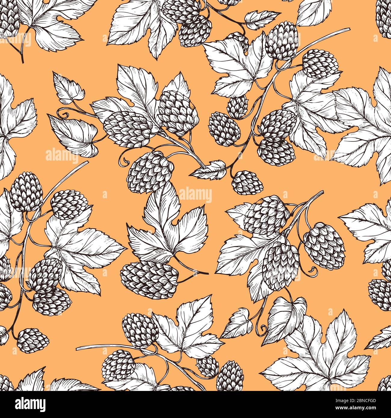 Hand drawn hop and foliage seamless pattern. Illustration of foliage ...