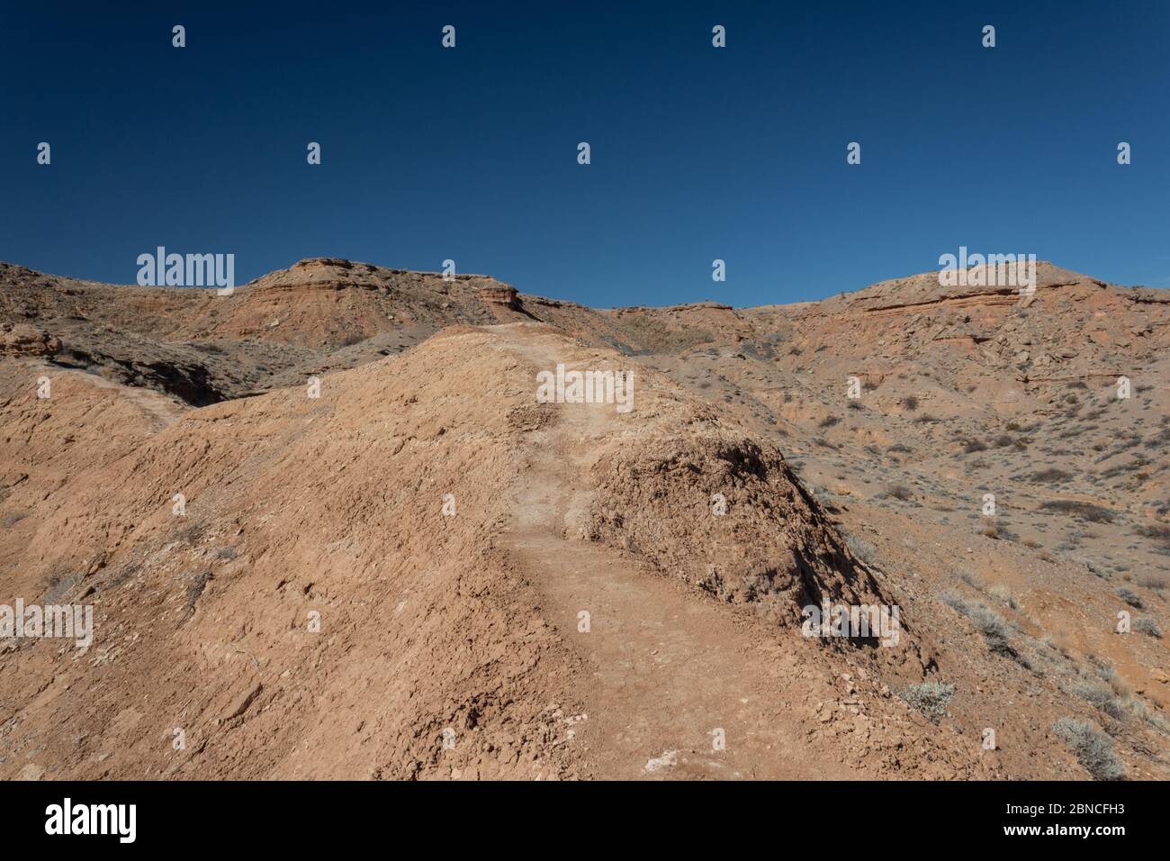 Hard packed mountain path along a ridge in the New Mexico desert, deep ...