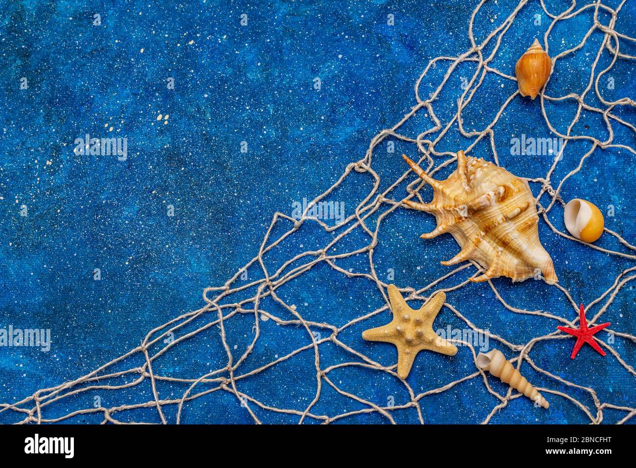 Seashells summer background. Lots of different seashells piled together ...