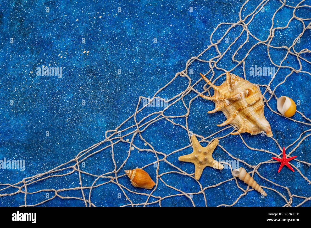 Seashells summer background. Lots of different seashells piled together ...