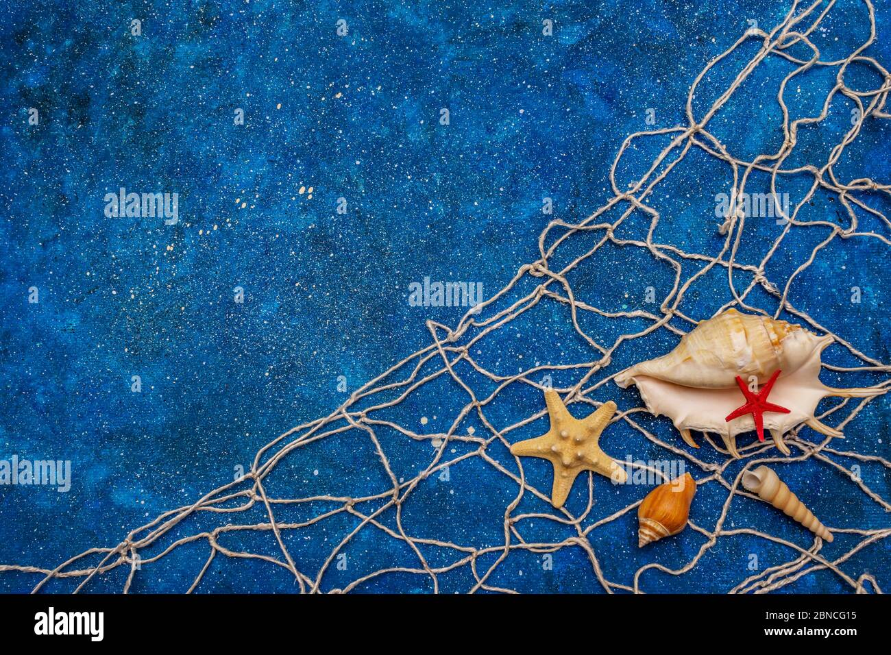 Seashells summer background. Lots of different seashells piled together ...