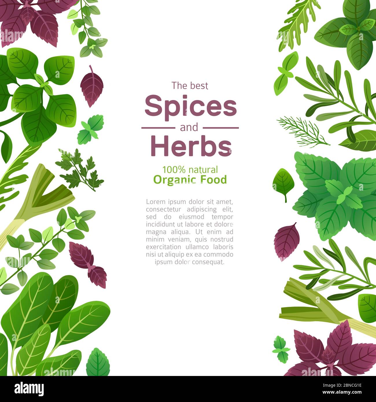 Spices and ingredients Stock Vector Images - Alamy
