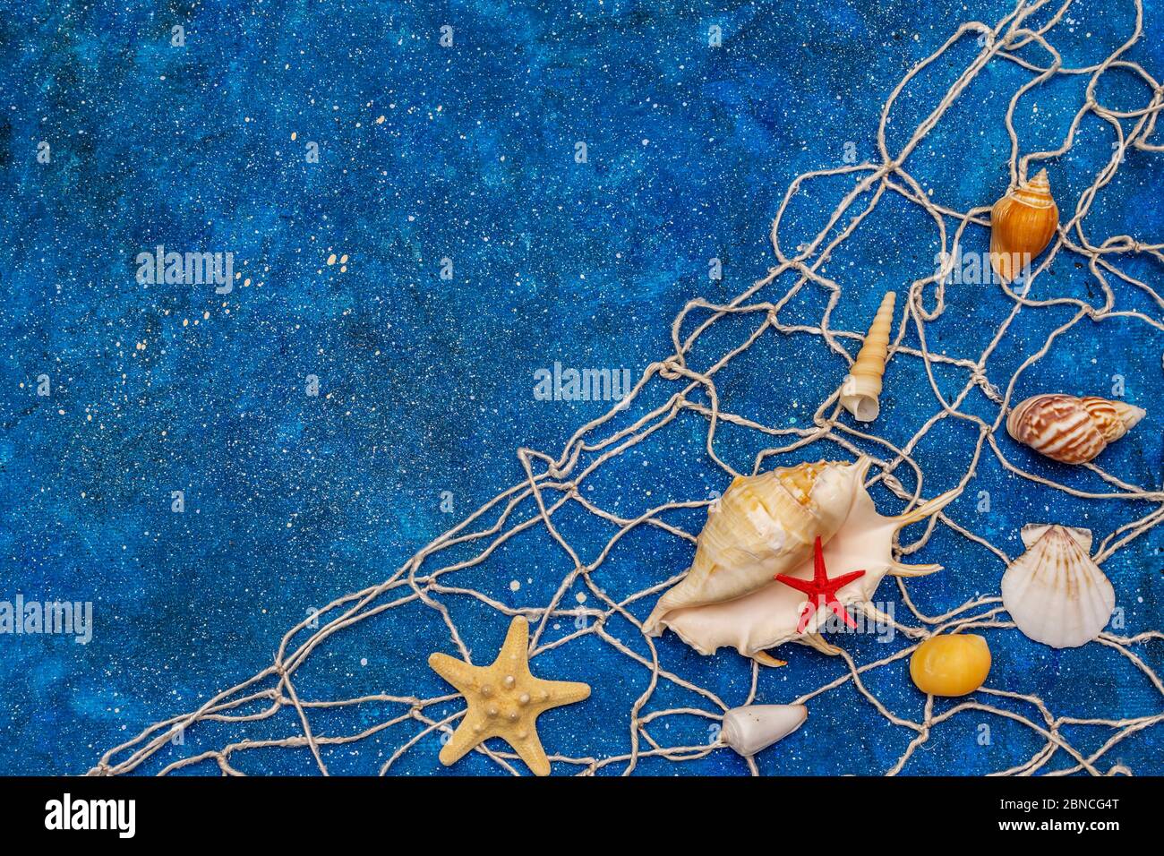 Seashells summer background. Lots of different seashells piled together ...