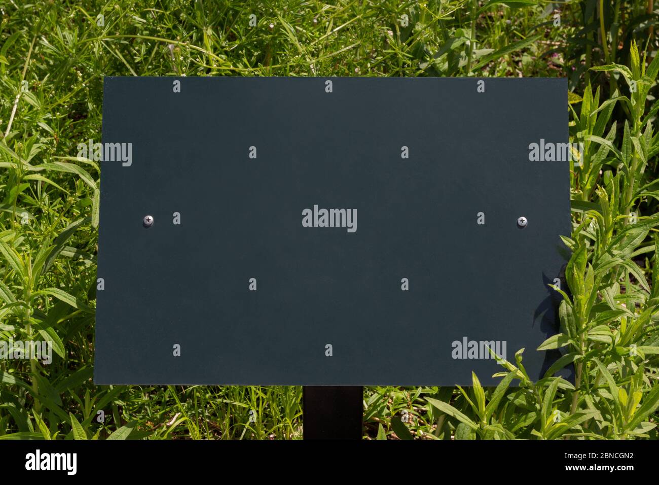 blank dark green metal sign with screws on both sides, for copy space ...