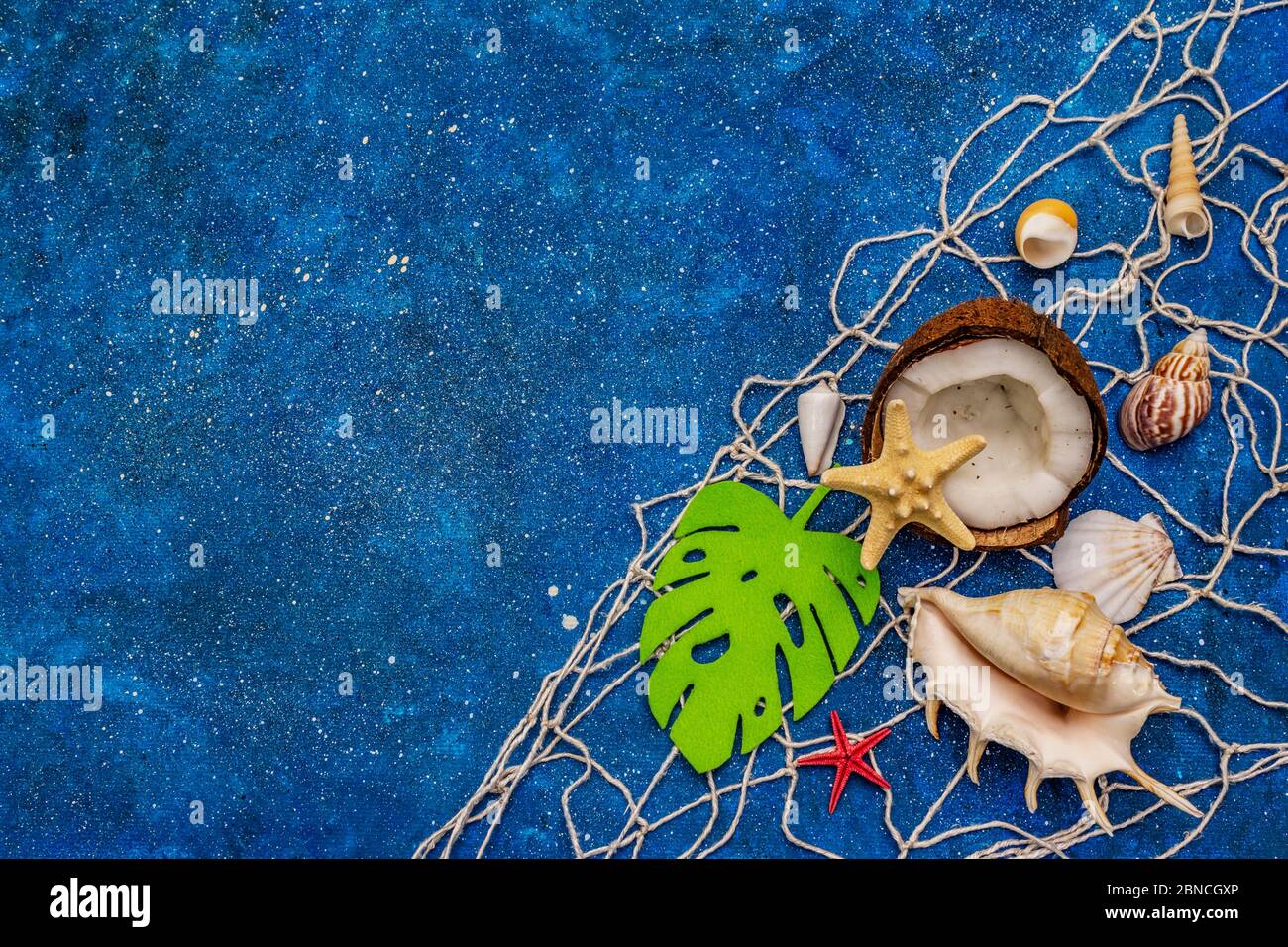 Seashells summer background. Lots of different seashells piled together ...