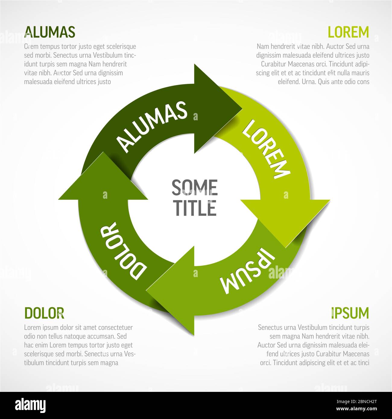 Vector green life circle cycle diagram / schema infograph with sample ...