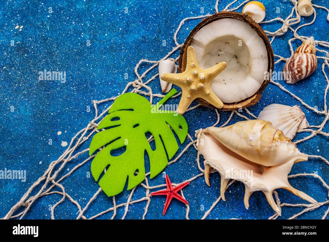 Seashells summer background. Lots of different seashells piled together ...