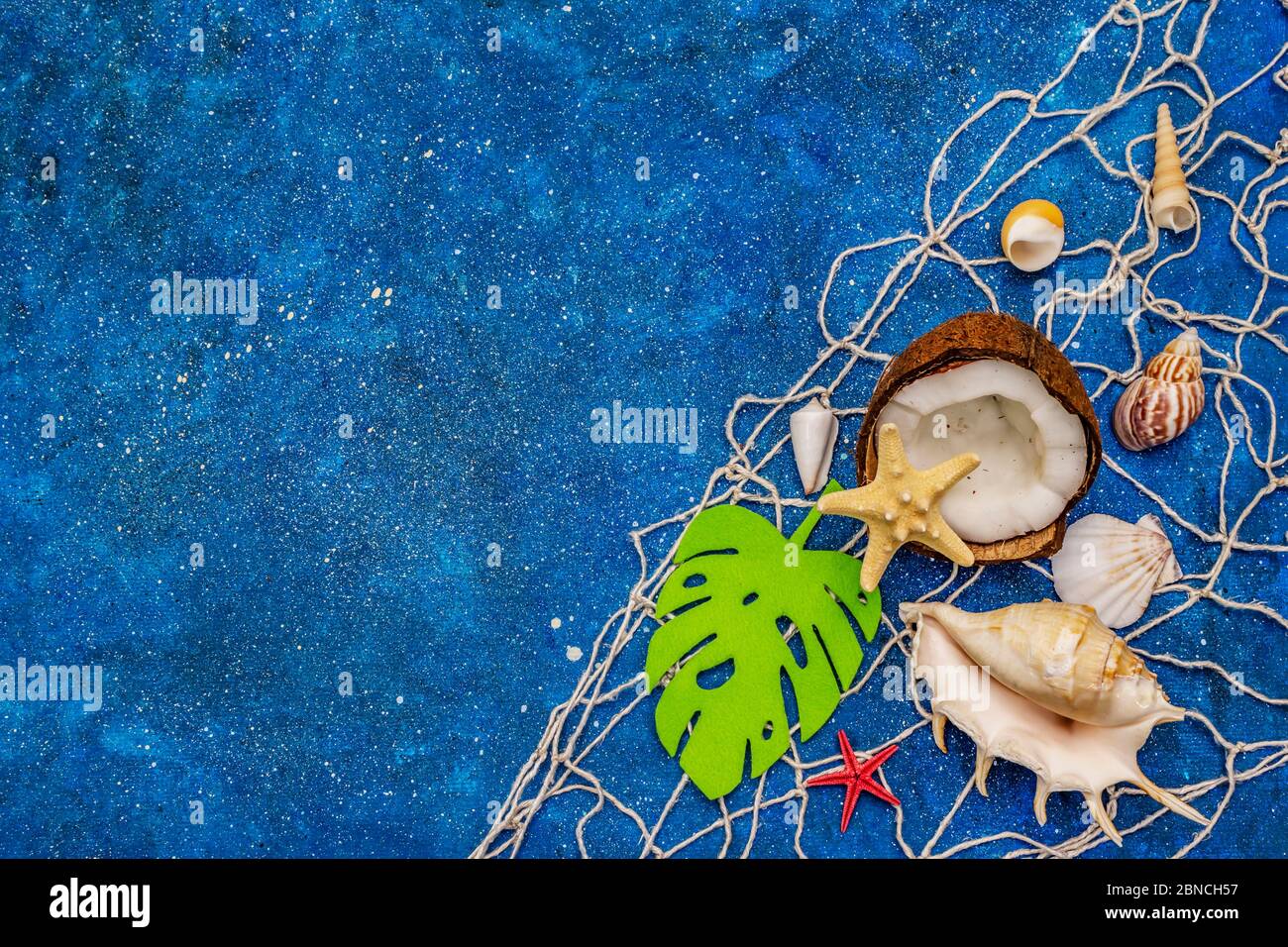 Seashells summer background. Lots of different seashells piled together ...