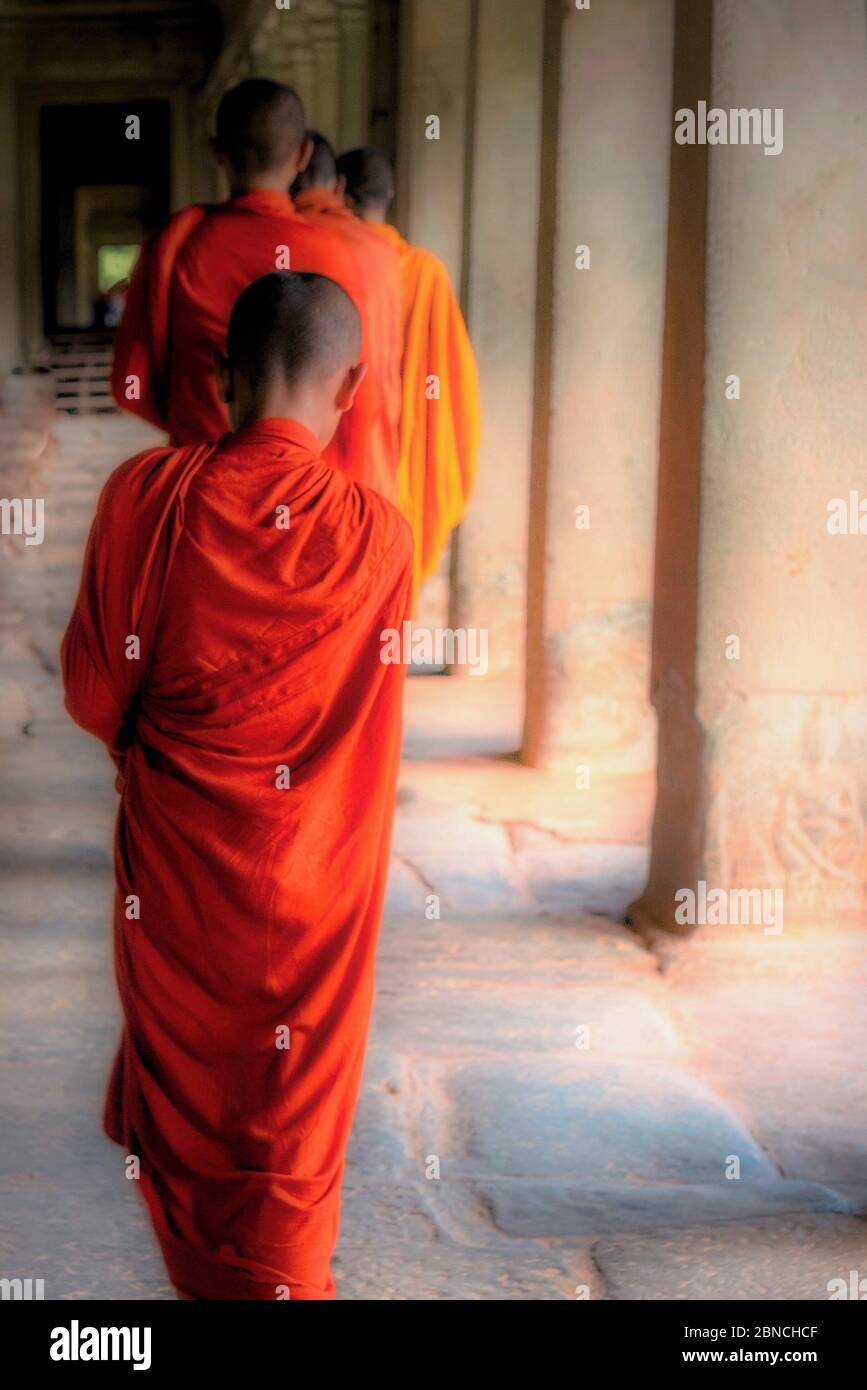 Vertical shot of young monks in orange dresses walking in a line Stock ...
