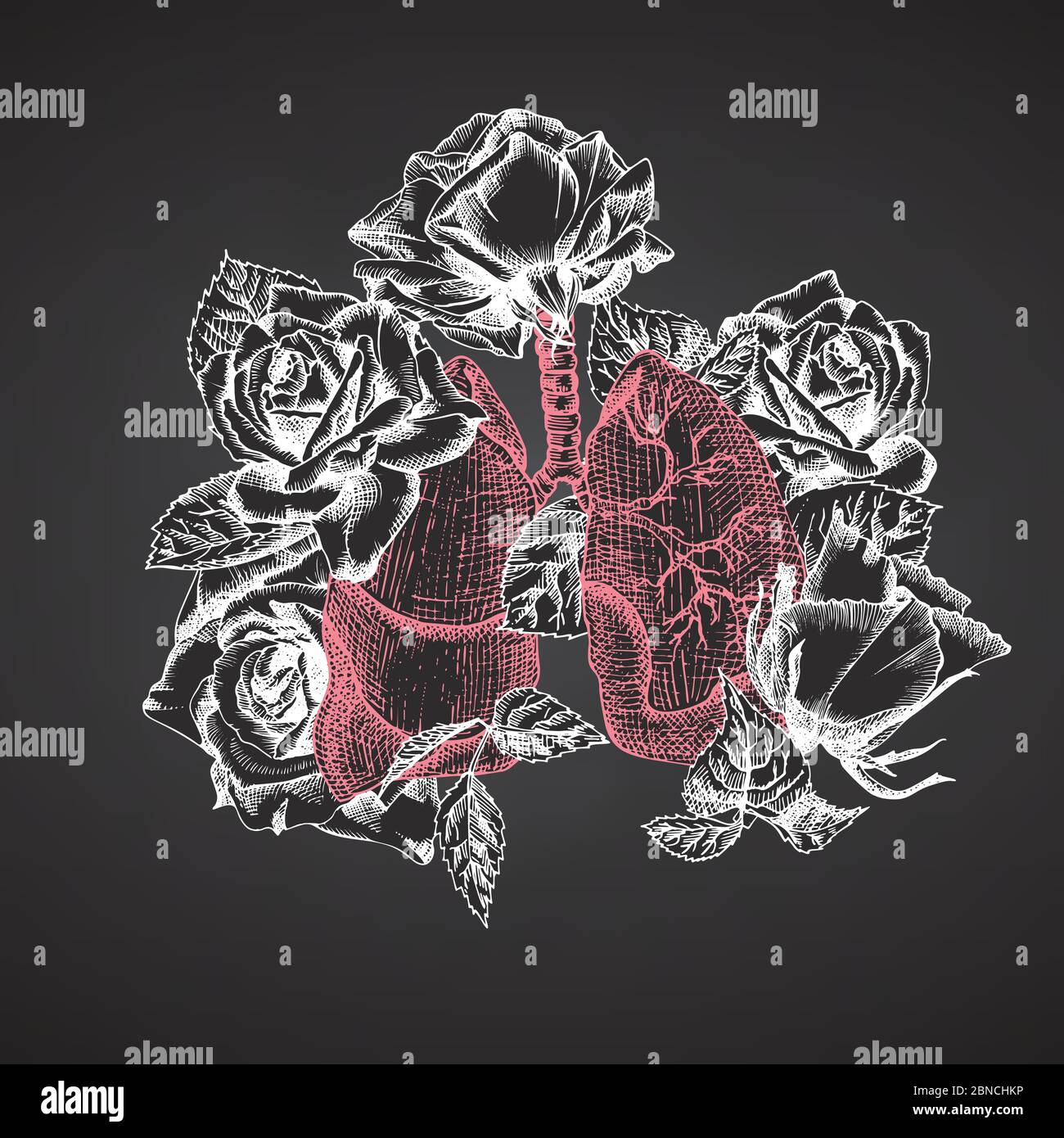 Lungs with bouquet roses on chalkboard Realistic hand-drawn icon of ...