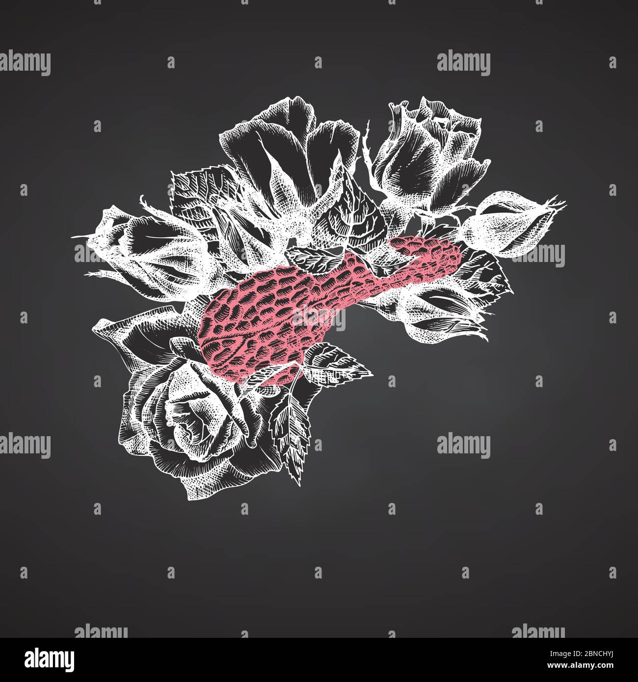 Pancreas with bouquet roses on chalkboard Realistic hand-drawn icon of ...