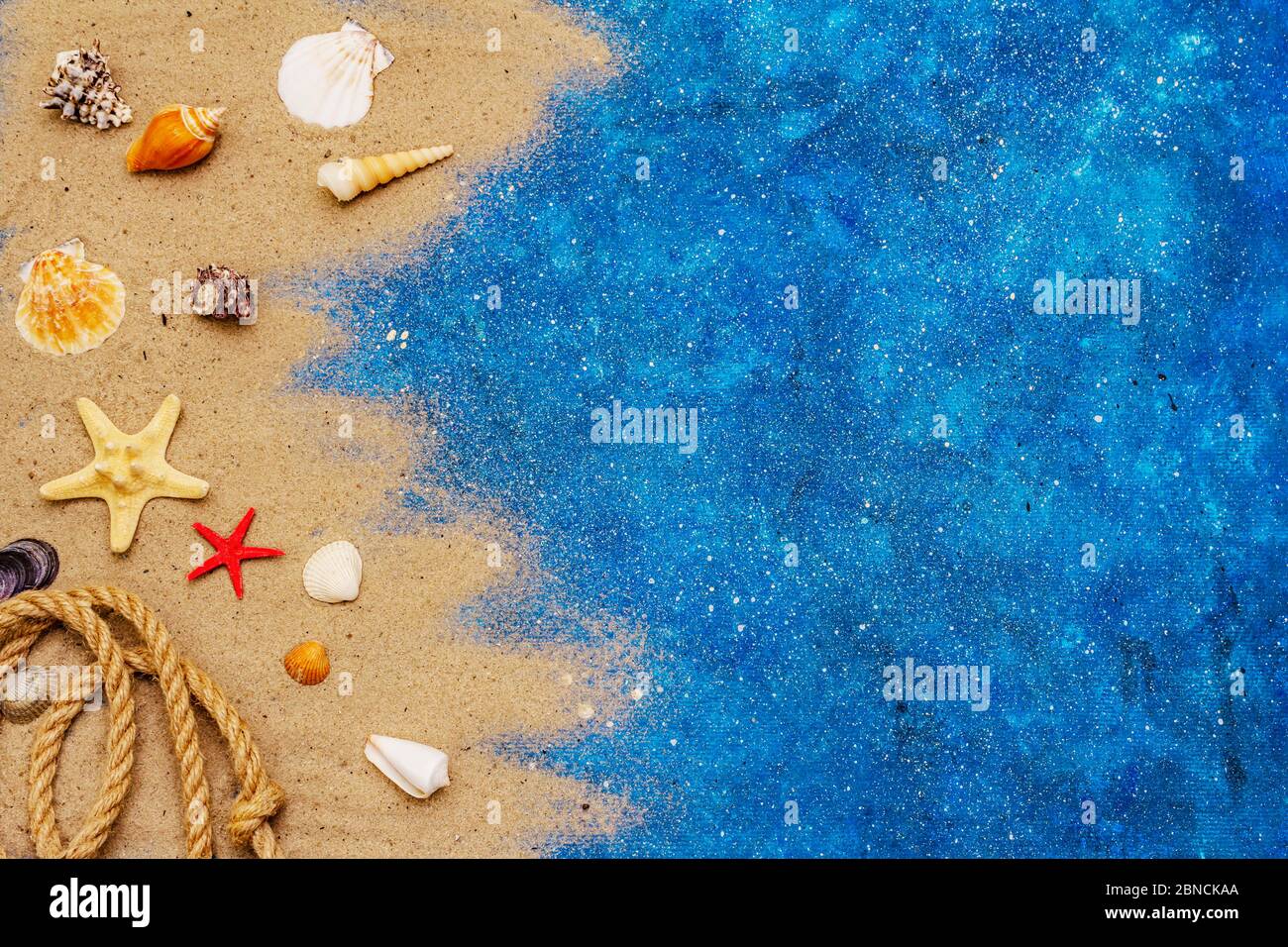 Seashells summer background. Lots of different seashells piled together ...