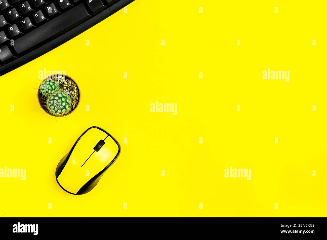 flat lay workspace yellow computer mouse, cactus on yellow background ...