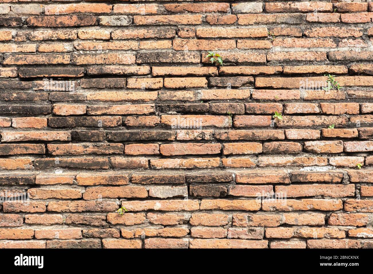 Ancient bricks wall. Old red bricks background Stock Photo - Alamy