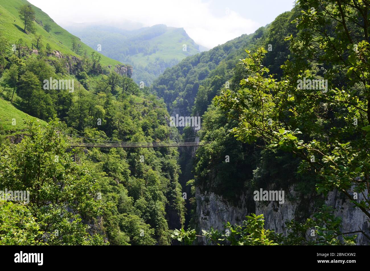 Suspension bridge in the Holtzarte Gorges, French Pyrenees Stock Photo ...