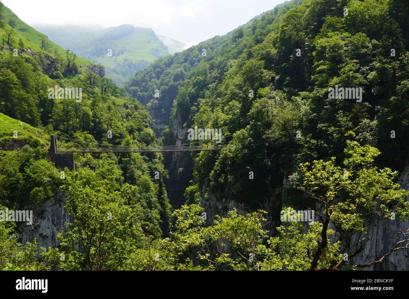 Suspension bridge in the Holtzarte Gorges, French Pyrenees Stock Photo ...