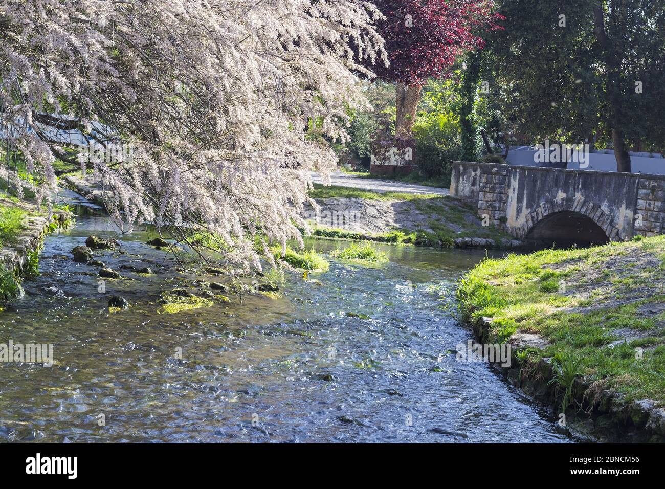 Mesmerizing view of an arch over the river in a park in Vruljica, Zadar ...