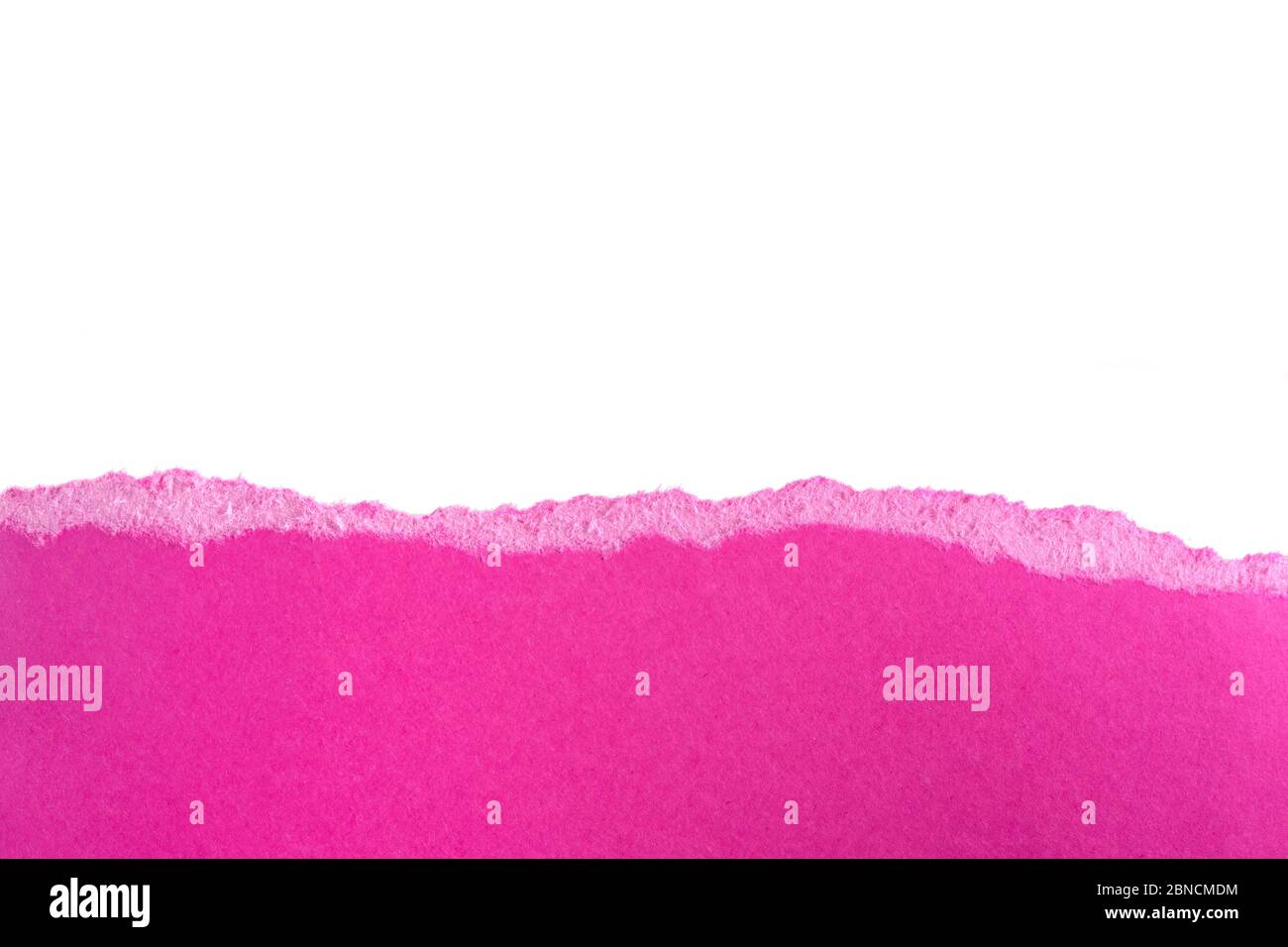 Ripped pieces of purple paper isolated on white background. Paper piece ...