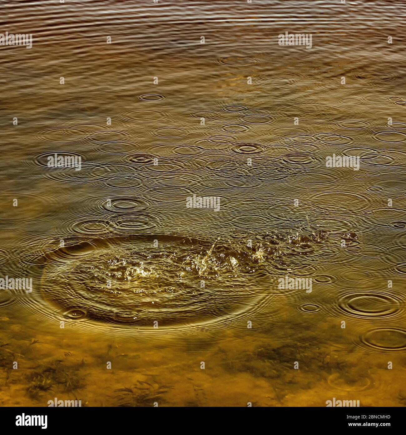 Ripples and splash in water Stock Photo - Alamy