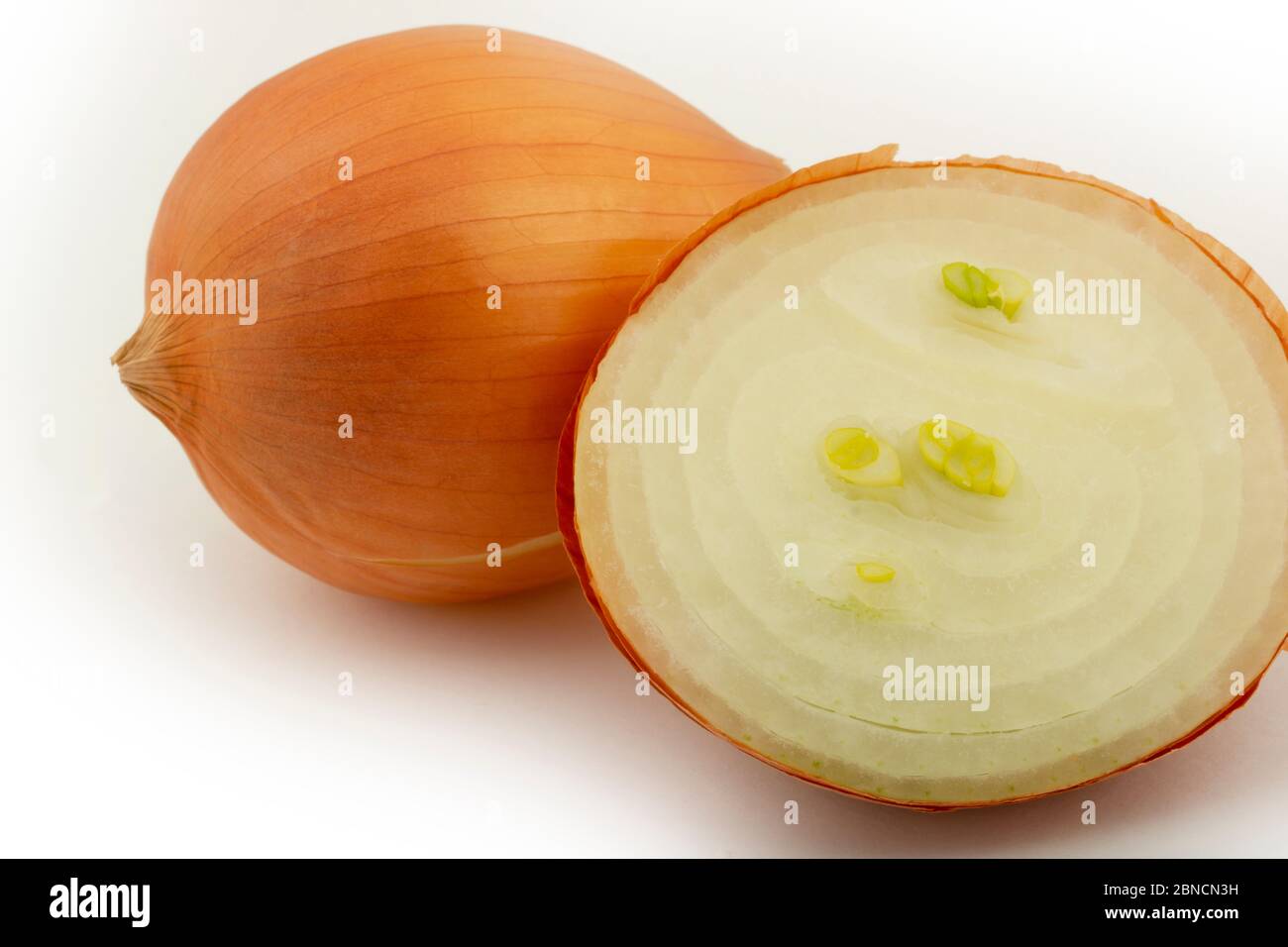 Fresh onion bulb isolated on white Stock Photo - Alamy