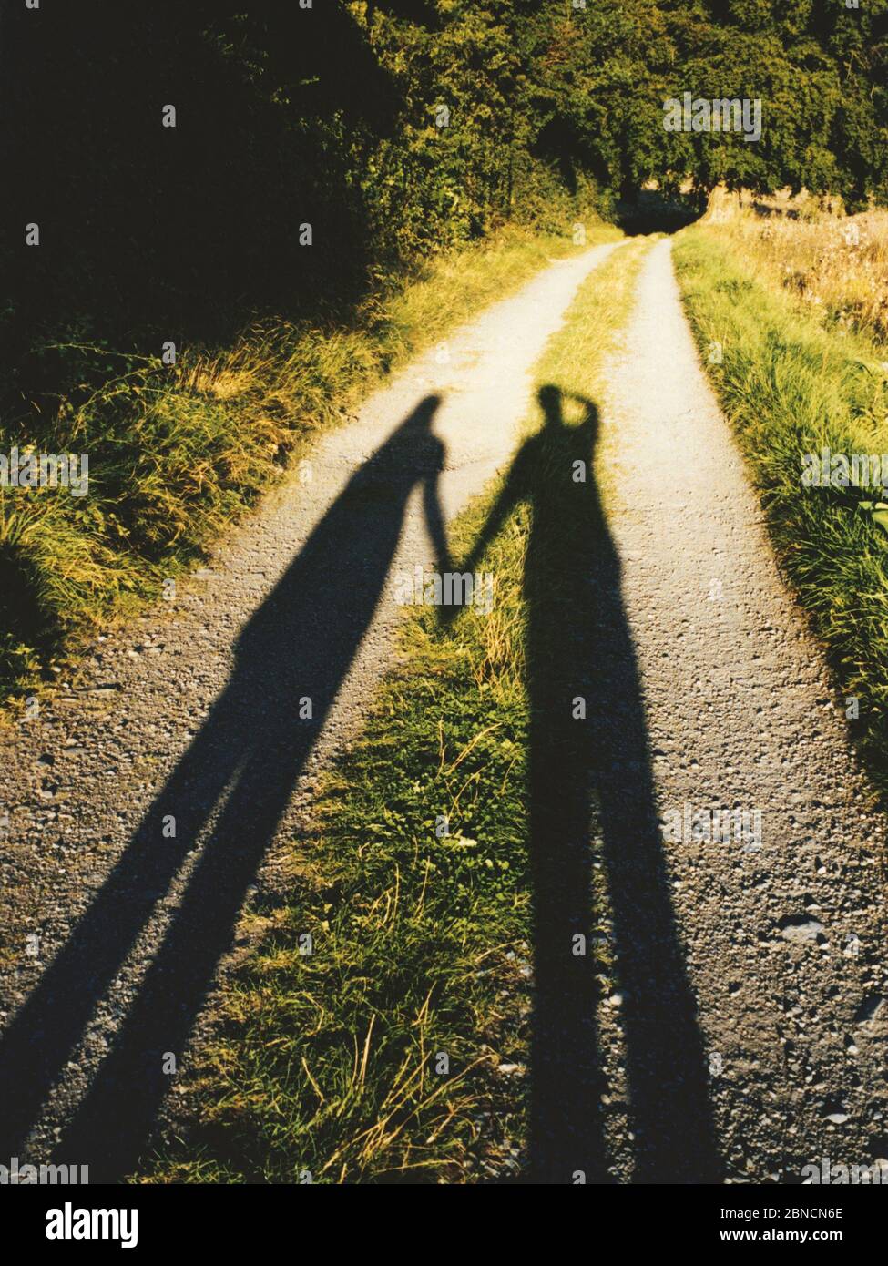 Beautiful shot of a couple's shadow holding each other hands - romantic ...