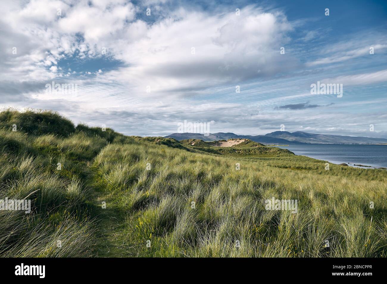 Rossbeigh strand hi-res stock photography and images - Alamy